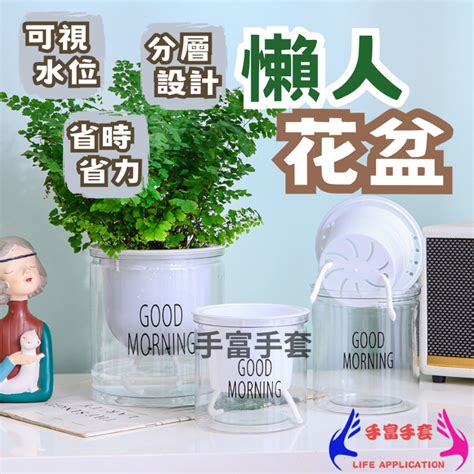 🔥懶人花盆🔥 吸水花盆 自動吸水盆栽 塑膠盆栽 水耕植物 花盆 懶人盆栽 透明花盆 水培花盆 盆栽 塑膠盆 自動花盆 蝦皮購物