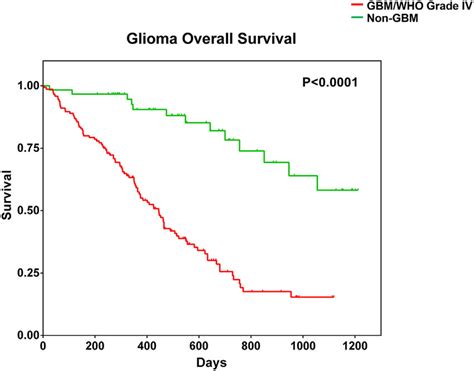 Overall Survival Pattern Of Patients With Malignant Glioma In The Study