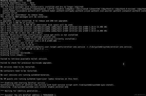 Linux Ubuntu Zerotier