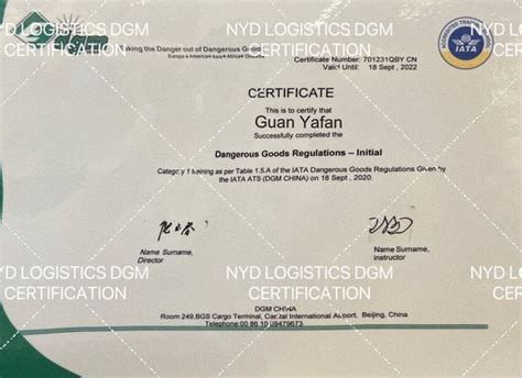 Quality International Freight Forwarder And International Air Freight