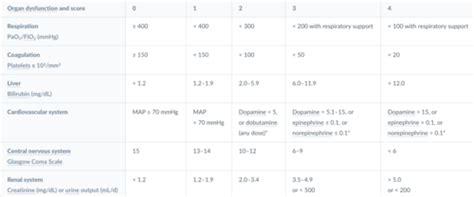 Sepsis Flashcards Quizlet