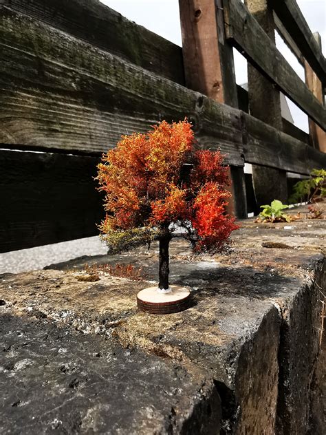 Primo Models