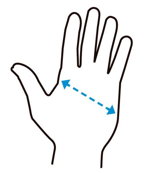 Oppenheimer Dorsal Flexion Wrist Splint C6 · C6a Prim Export