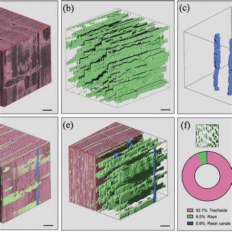 3d Reconstruction Of Masson Pine On Quantitative Analysis With A Voxel Download Scientific
