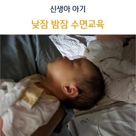신생아 수면교육 시기 아기 낮잠 밤잠 알아둘 점 네이버 블로그