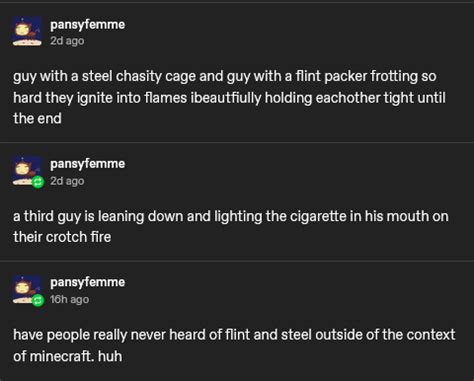 Did You Know That Minecraft Did Not Invent Flint And Steel NSFW R Tumblr