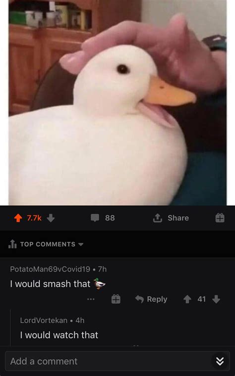 Cursed Duck R Cursedcomments