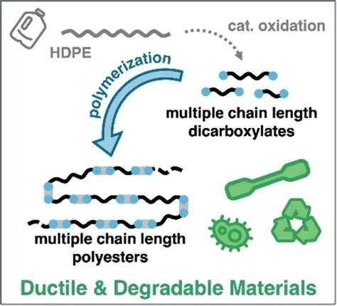 Degradable And Recyclable Polyesters From Multiple Chain Length Bio