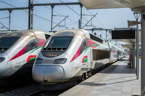 Rail Proposal Linking Europe And Africa Unveiled