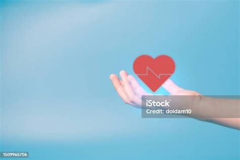 위탁 가정 개념입니다 붉은 심장 건강 관리 사랑 장기 기증 마음챙김 웰빙 가족 보험 및 Csr 개념 세계 심장의 날 세계 보건의