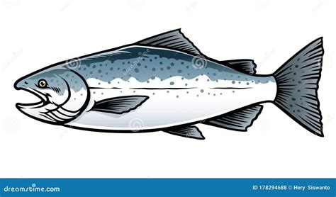 Salmon Fish Vector Illustration Sketch Doodle Hand Drawn With Bl