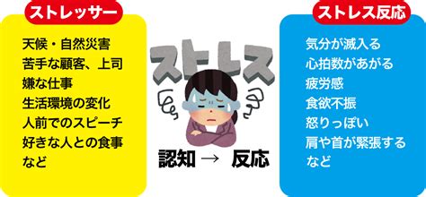 睡眠マスターになって脳を守る心地よい睡眠ベッド習慣を広めよう スリープアスリートのベッド習慣