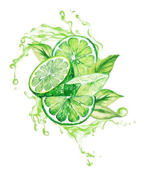 绿汁中的柠檬叶 向量例证 插画 包括有 健康 下落 液体 汁液 新鲜 流动 飞溅 饮料 185641293