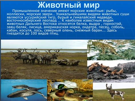 Проект путешествие по городам России проект по окружающему миру путешествие по России 4 класс