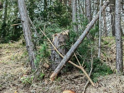 Вижте НОВИ СНИМКИ от атентата срещу Иван Гешев