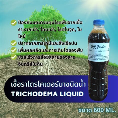 600ml เชื้อไตรโคเดอร์มาชนิดน้ำ พร้อมใช้ Trichoderma Liquid For Plants