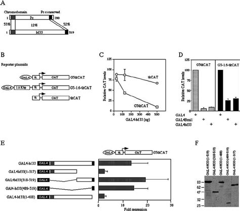 Fusions To The Gal4 Dna Binding Domain Reveal A Repression Function In