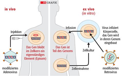 Gentherapien Gekommen Um Zu Bleiben PZ Pharmazeutische Zeitung