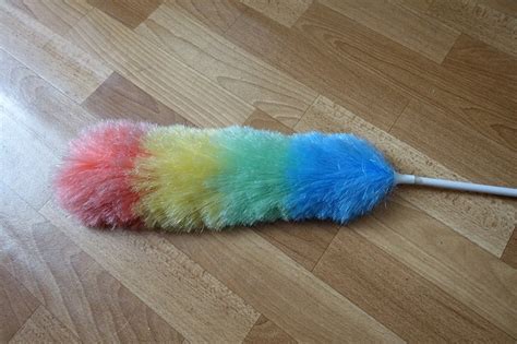 Для чего нужен пипидастр / Домоседы