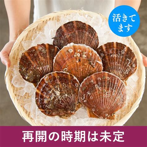 ホタテのウロ黒い部分って食べてもいいの？ 魚介類の通販 山内鮮魚店