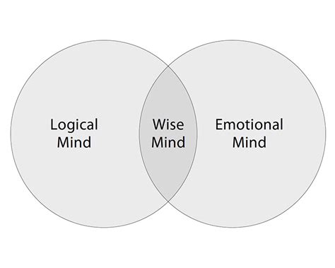 Accessing The Wise Mind Worksheet For Making Decisions Dr Goali