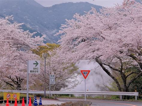 Beppu And Yufuin Day Trip Klook Philippines