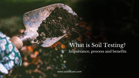 What Is Soil Testing Importance Process And Benefits SaiBioCare