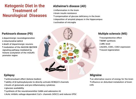 Madiha Ajaz On Linkedin The Role Of Ketogenic Diet In The Treatment Of Neurological Diseases By