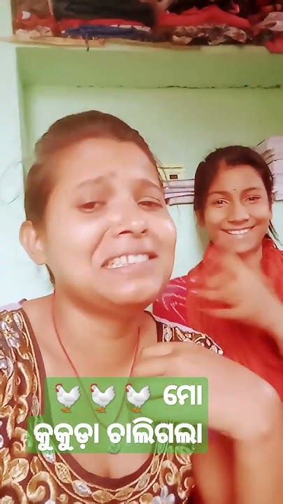 ମୋ କୁକୁଡ଼ା ଚାଲିଗଲା ଲୋ 😭shortsvedioodiacomedyvideocomedyshorts