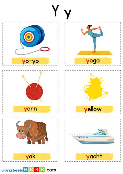 Y Letter Words List