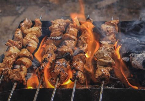 Fire Pit Grill Digital Organics