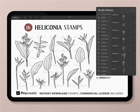 16 Heliconia Flower Procreate Stamps Bird Of Paradise Tattoo Art