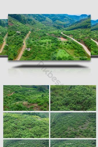 Financial Analysis Data Statistics Financial Performance Ppt Template