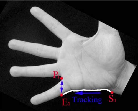Figure 1 From Palmprint Recognition Across Different Devices Semantic Scholar