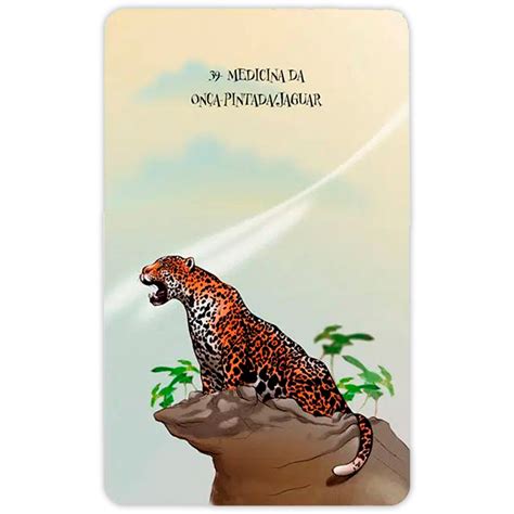 Loja Wicca Old Religion Cartas Xamânicas dos Animais Livro e Baralho