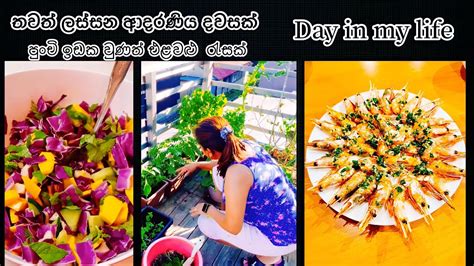 තවත් ආදරණීය දවසක්💕රස කෑම වේලකුත්🌸day In My Life 🌼meal Prep🥘එළවළු වගාව