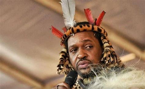 Ingonyama Trust Board Gets A New Chairperson The Mail Guardian