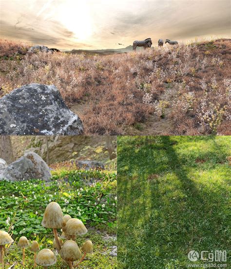 中文版blender插件 一键自动分布花草石头植物插件grassblade Addon For Grass We 哔哩哔哩