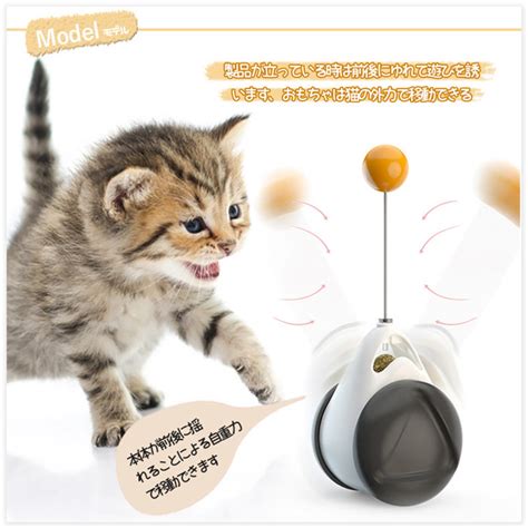 【楽天市場】当日発送 猫用おもちゃ 猫おもちゃ 猫のおもちゃ ペット用おもちゃ ペットおもちゃ ペットのおもちゃ 犬おもちゃ ネコおもちゃ