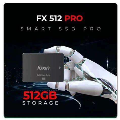 Foxin Fx 512 Pro Ssd With Tlc 3d Nand Technology And 2 5 Inch Sata Iii 6gb S Speed Internal So At