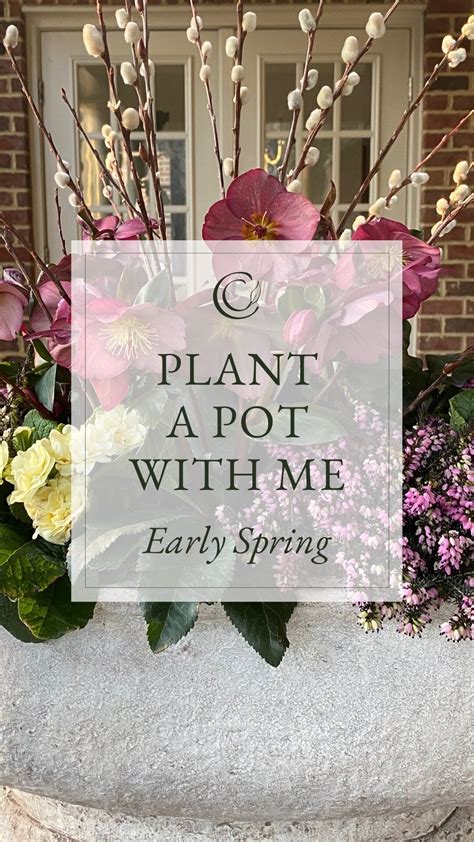 Online Courses And Classes For Container Gardening And Arrangements