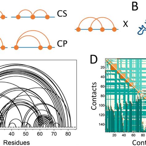 Human Proteome Mapped To A Circuit Topology Space A Different