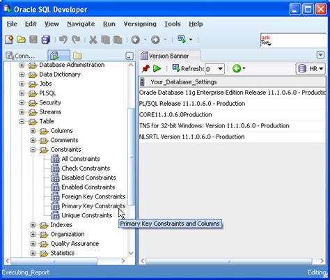 how to run or create reports using sql developer