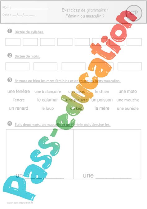 Révisions Masculin Féminin Cp Grammaire Cycle Pass Education