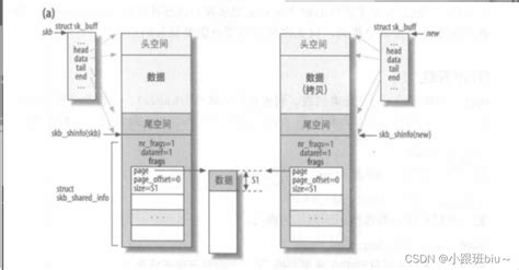 Linux内核协议栈 Skbuff结构详解skb优先级 Csdn博客