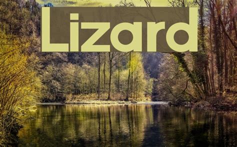 Lizard Font
