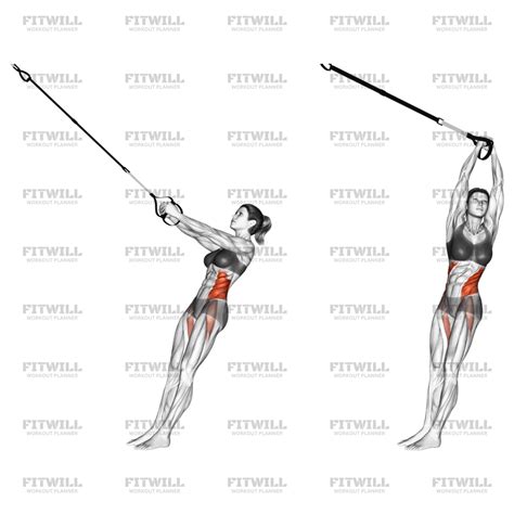Suspension Twist Up Exercise Guide Video Techniques Benefits How To Muscles Worked Tips