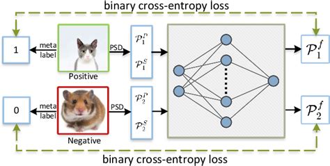 Figure 5 From Robust Noisy Label Learning Via Two Stream Sample Distillation Semantic Scholar