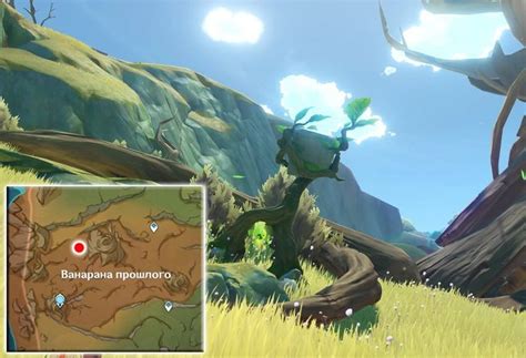 Map Of Sumeru Genshin Impact