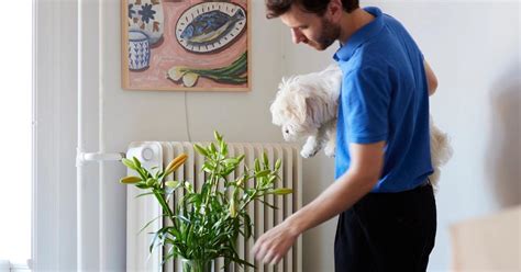 At Home With Noah Daniel